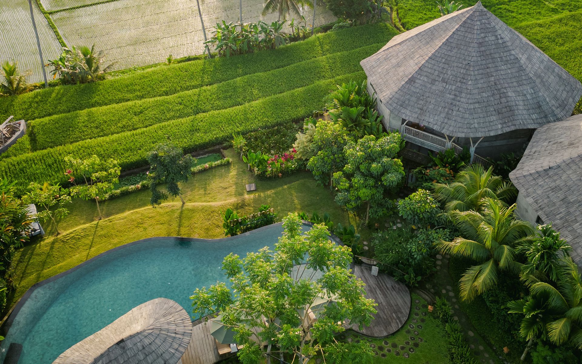 Product promotions in thewakanda A Pramana Experience - Offers